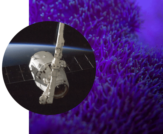 Industries - Cofomo your Digital Transformation and Innovation Partner