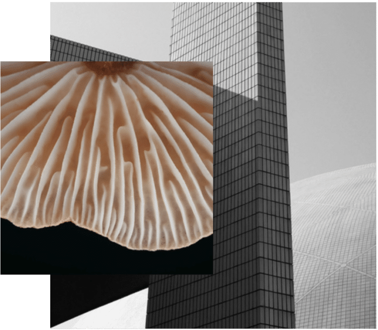 Expertise - Cofomo your Digital Transformation and Innovation Partner